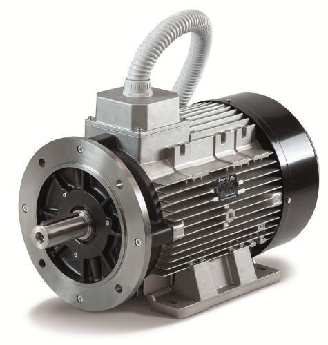 MOTORI ELETTRICI SPECIALI PER ESIGENZE SPECIFICHE