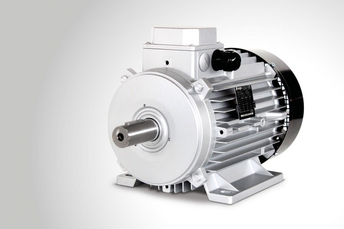 Asynchronous motors - Technical specifications - www.sogaenergyteam.com